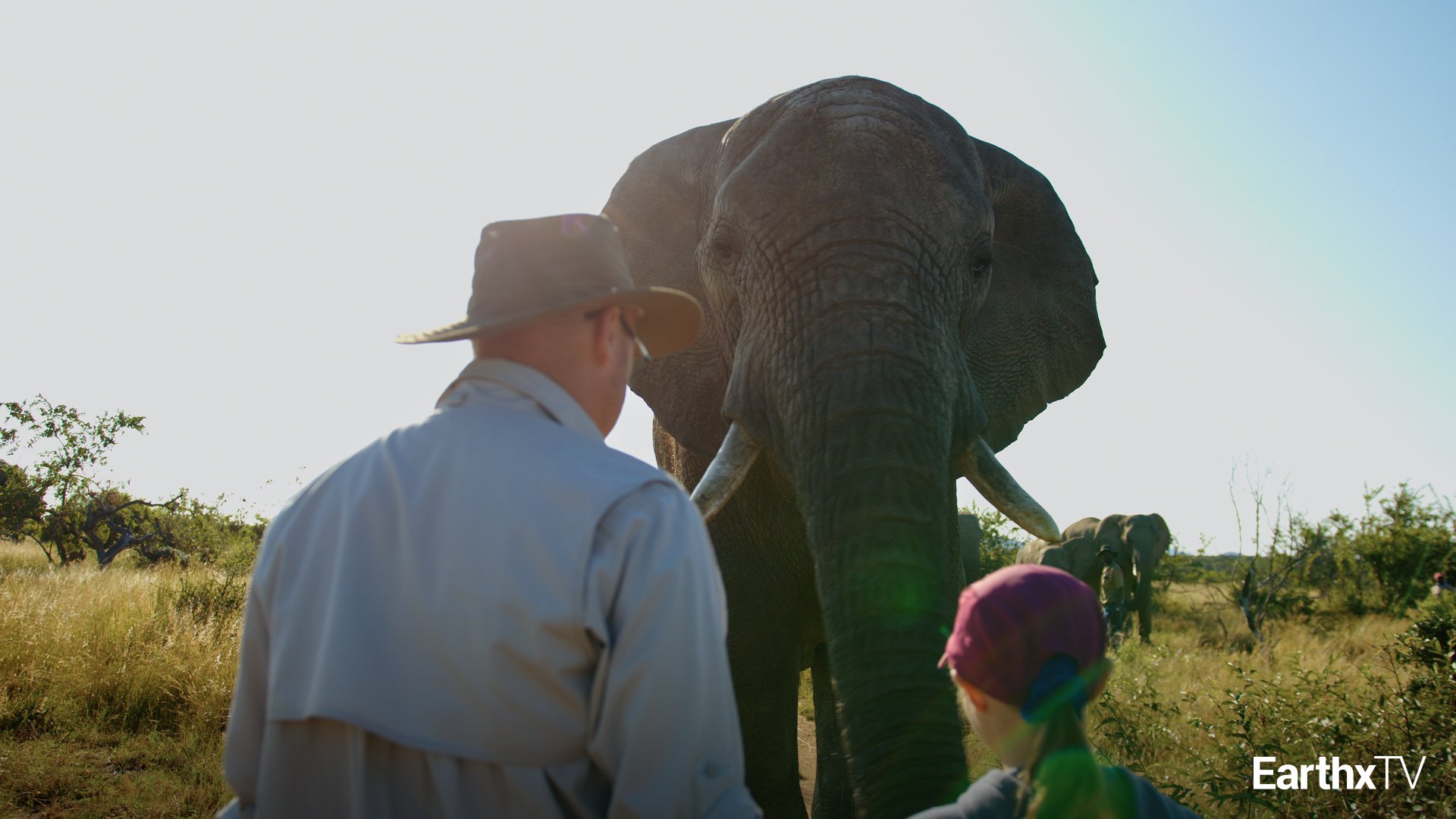 EarthxTV Expands to Latin America - EarthxTV