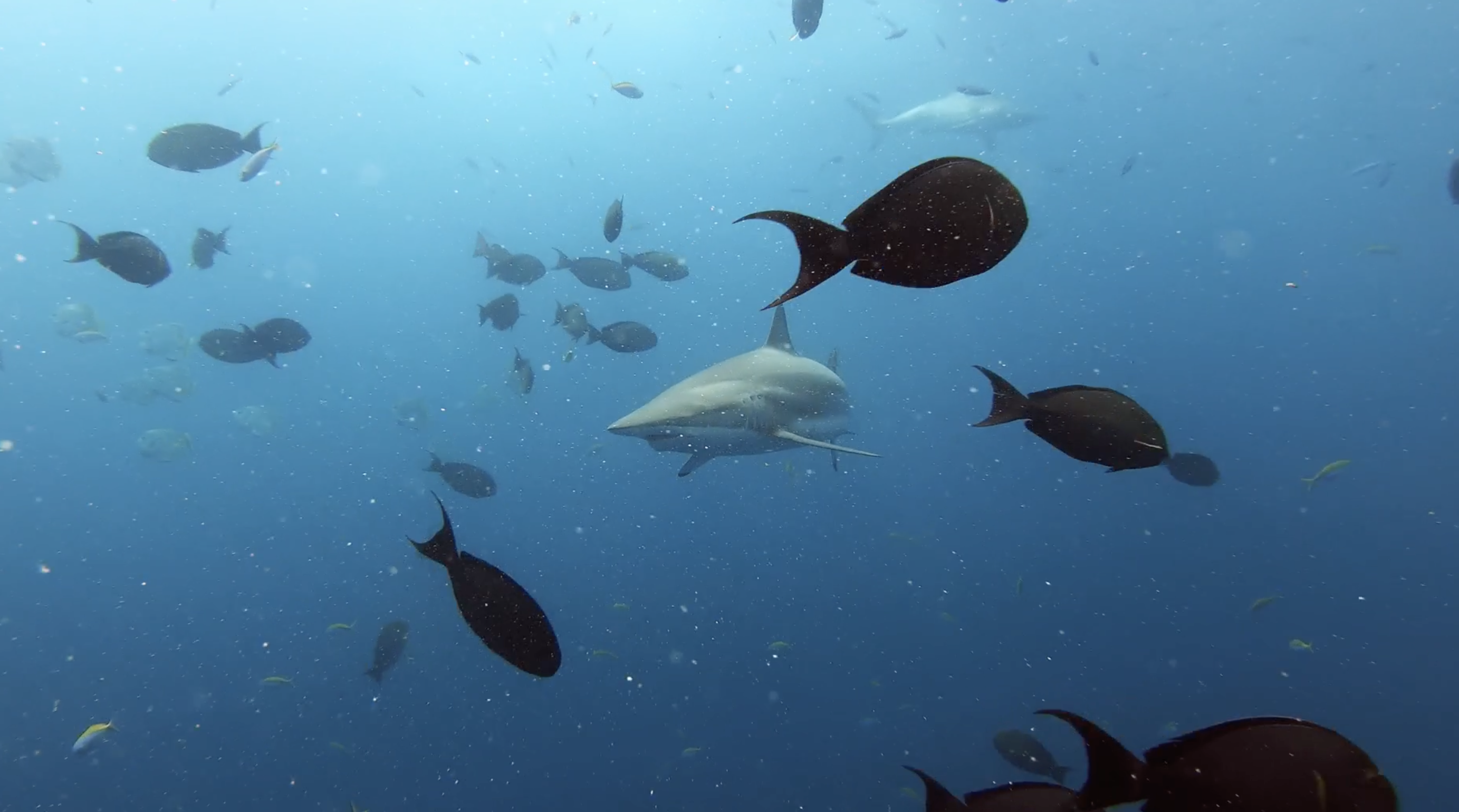 EarthxTV - Entertainment for our future