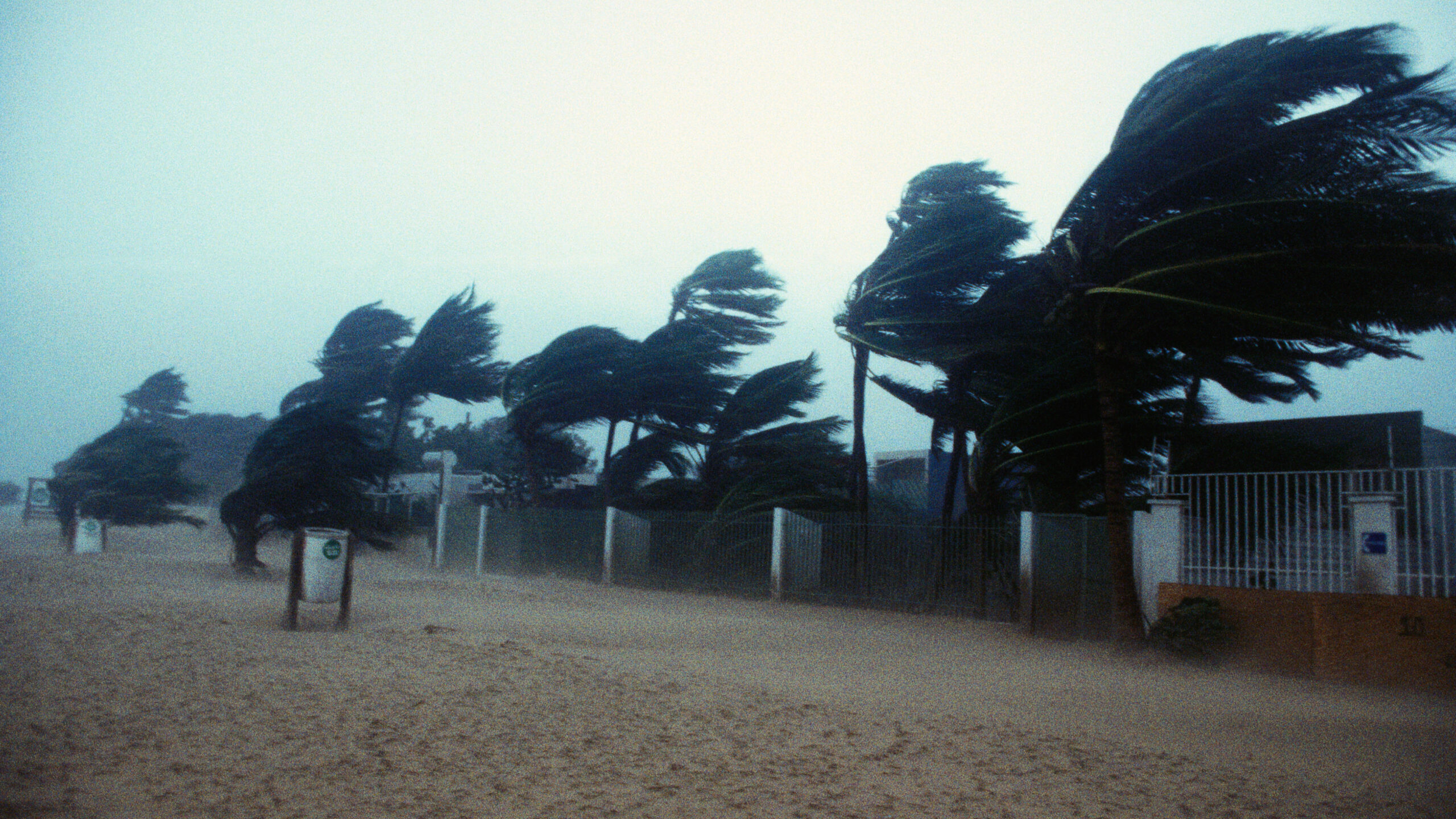 EarthxTV - Entertainment for our future