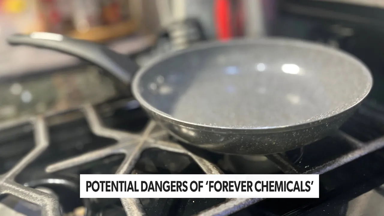 What Are Forever Chemicals? - EarthX
