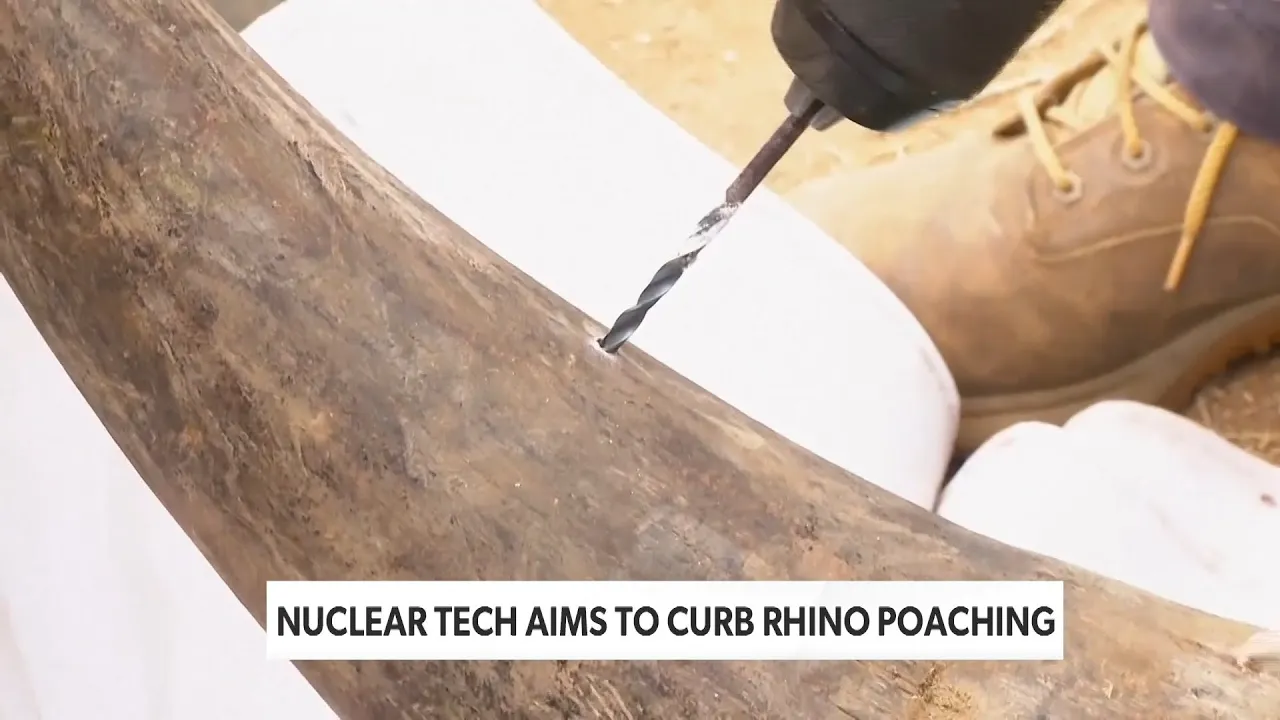 Could Nuclear Tech Stop Rhino Poaching? - EarthX